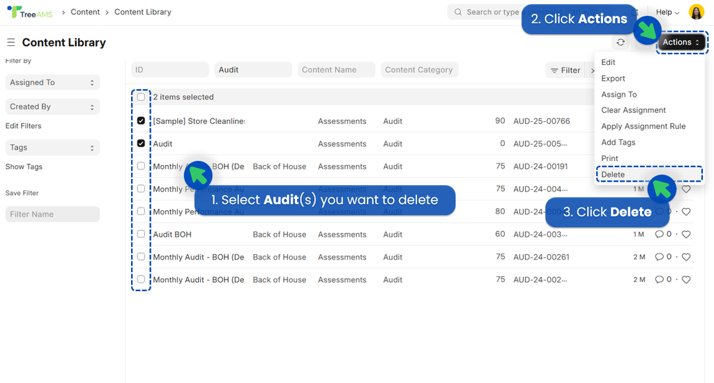 Content Block: Audit